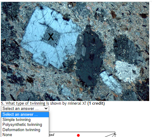 Solved 5. What type of twinning is shown by mineral X? (1 | Chegg.com