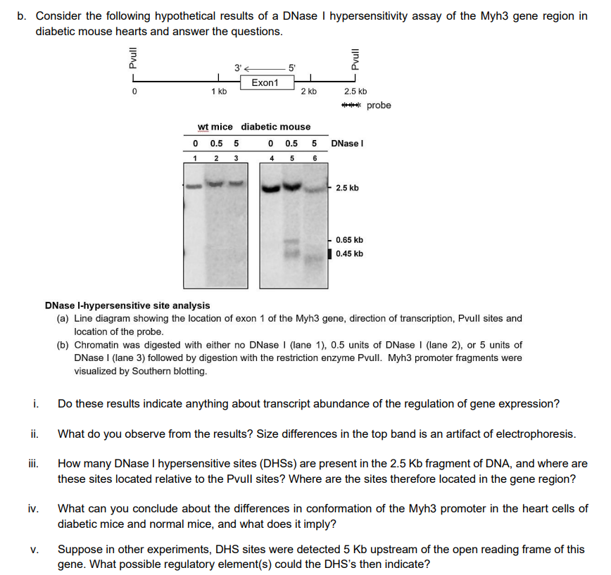 Solved b. Consider the following hypothetical results of a | Chegg.com