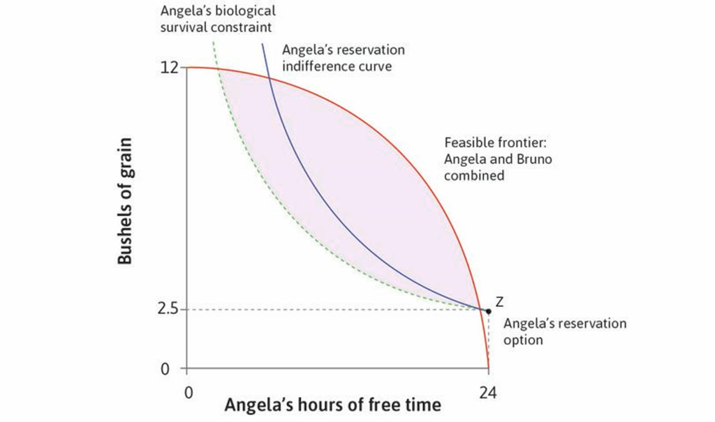 Solved 1) The following figure shows the Angela and Bruno | Chegg.com