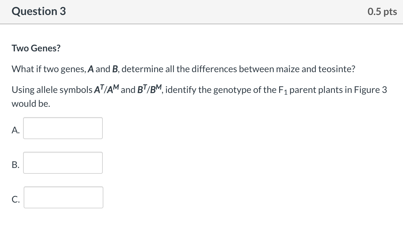 Question 1 0.5 pts Using the allele symbols AT (Gene | Chegg.com