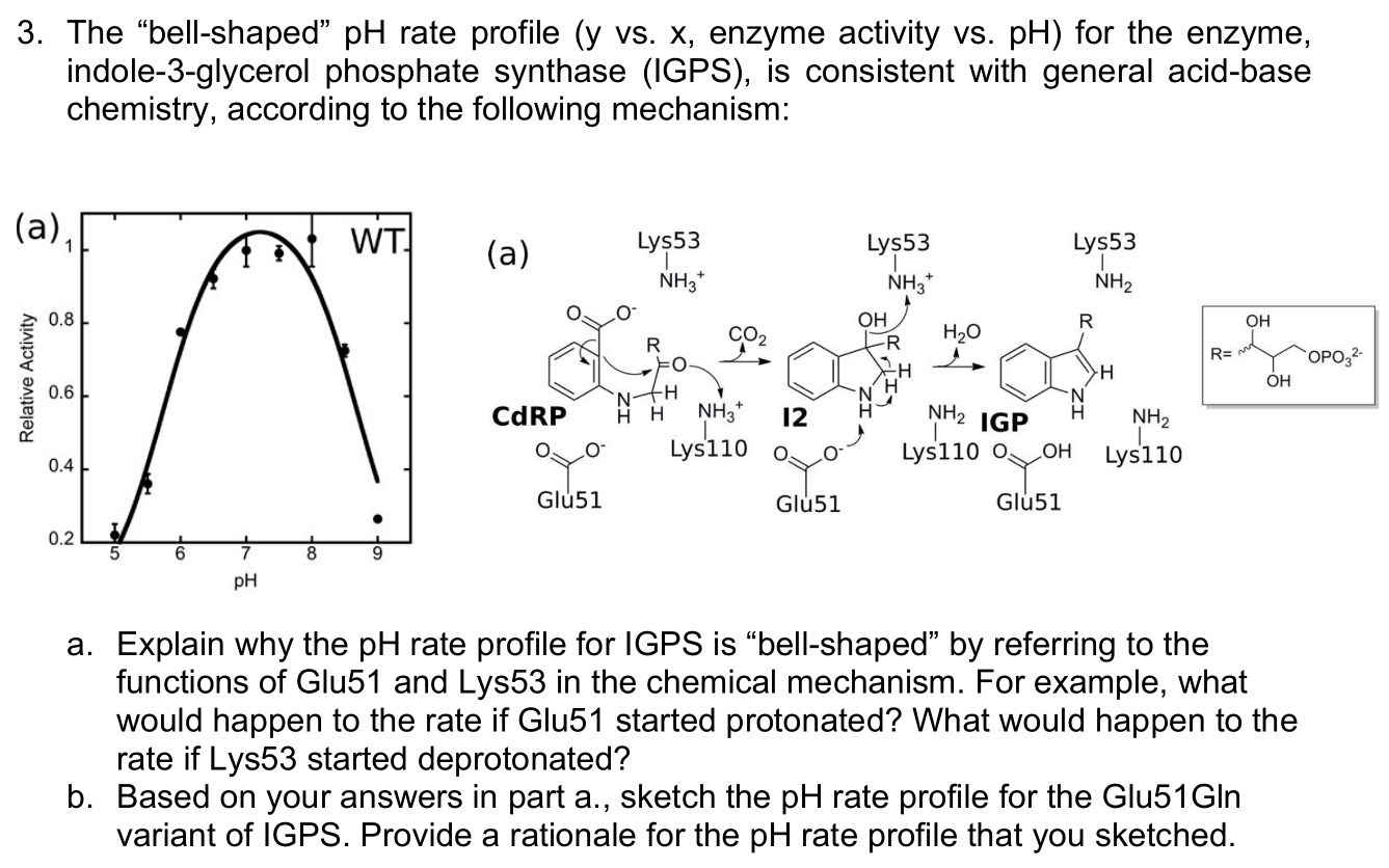 Solved 3. The “bell-shaped" pH rate profile (y vs. x, enzyme | Chegg.com