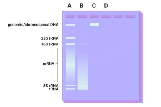 Please explain the reason for getting column B, C and | Chegg.com