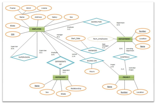 Solved COMPANY DATABSE (SAMPLE) In this section we describe | Chegg.com