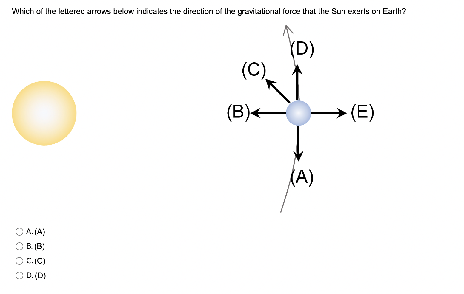 Solved Which of the lettered arrows below indicates the | Chegg.com
