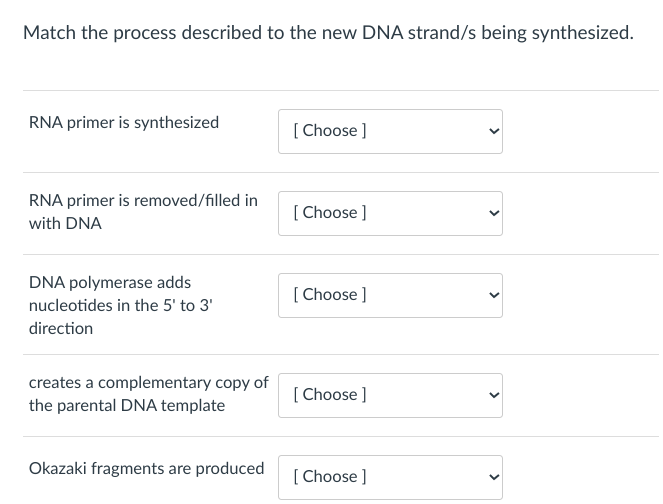 Solved Match the enzyme (or protein) involved in DNA | Chegg.com
