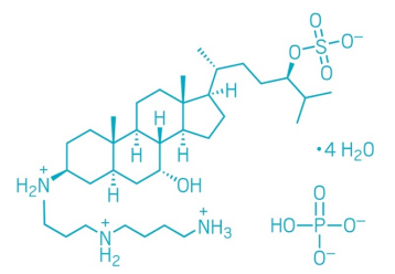 Solved Squalamine (see attached figure) is a steroidal | Chegg.com