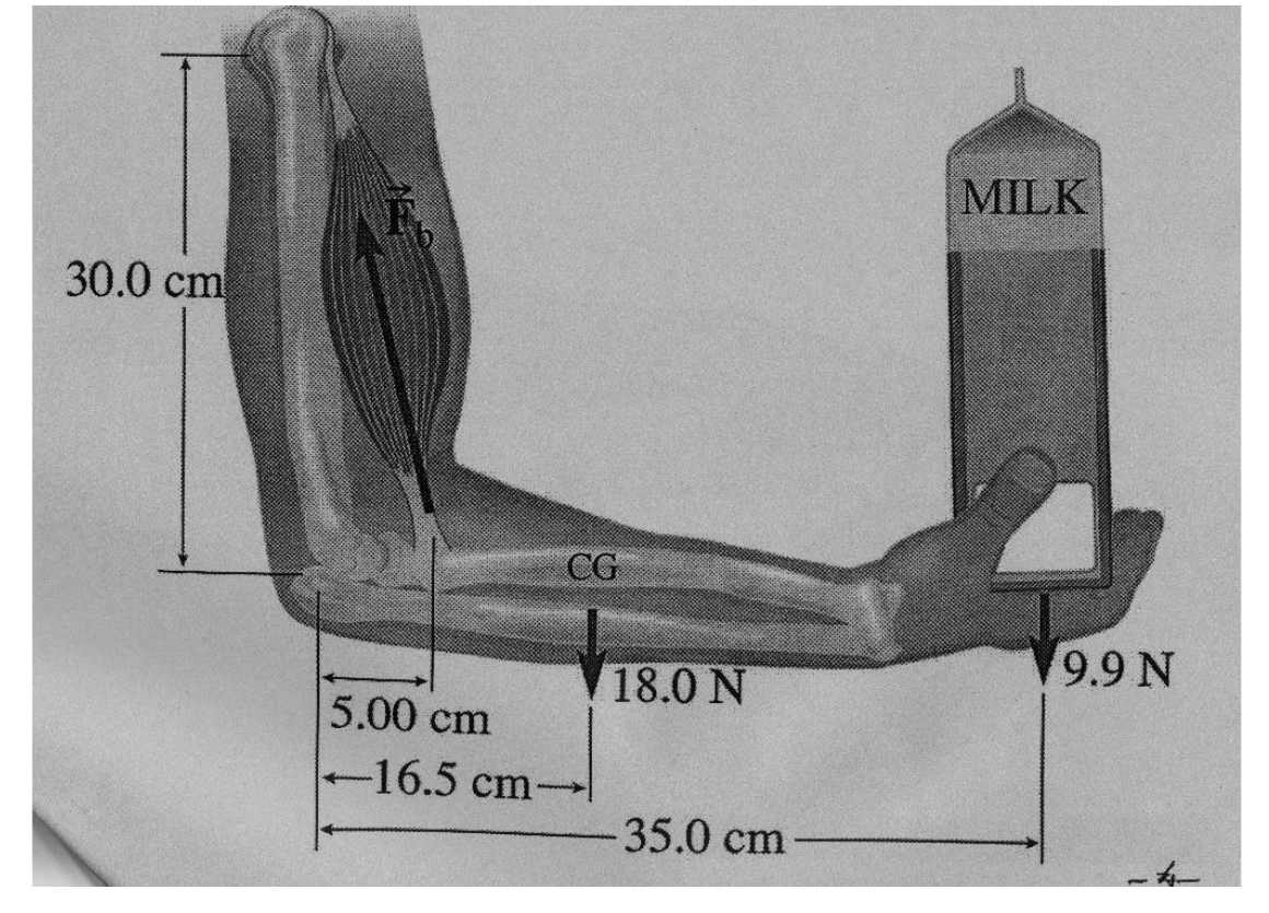 Solved Given the information in the picture below, calculate | Chegg.com