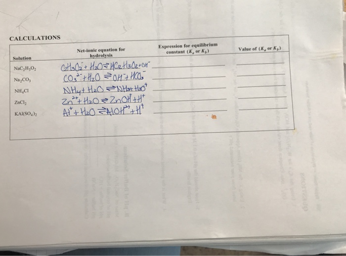 Solved CALCULATIONS Net ionic Equation For Hydrolysis Chegg