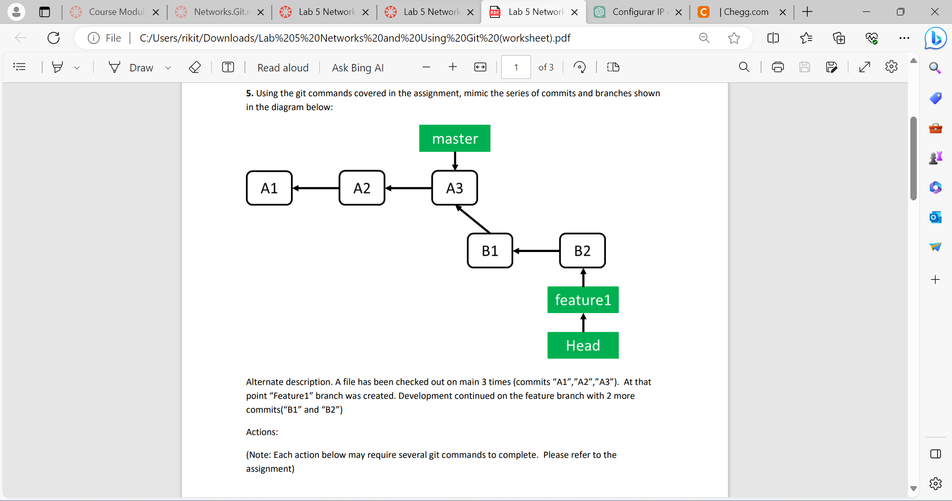 Solved 5. Using the git commands covered in the assignment, | Chegg.com