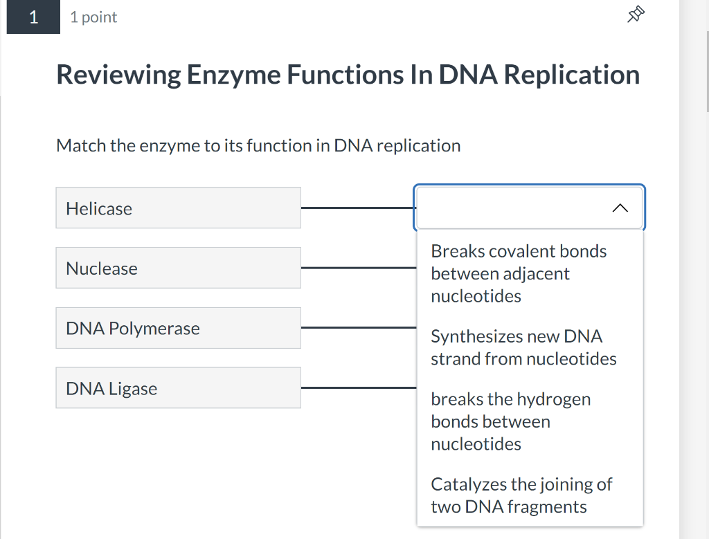 Solved Reviewing Enzyme Functions In DNA Replication Match | Chegg.com