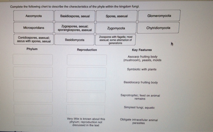 Solved Complete the following chart to describe the | Chegg.com