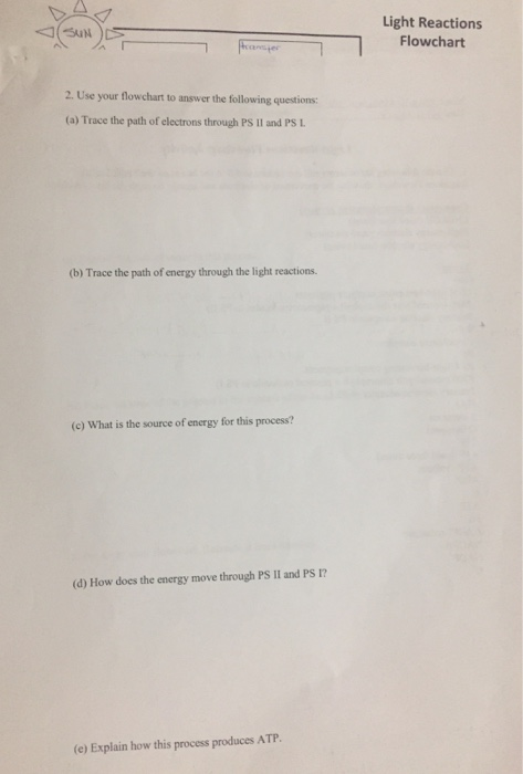 Light Reaction Flow Chart