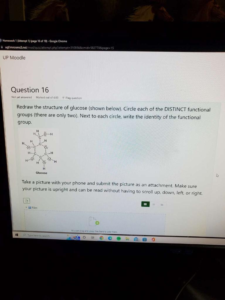 Redraw the structure of glucose (shown below). Circle | Chegg.com