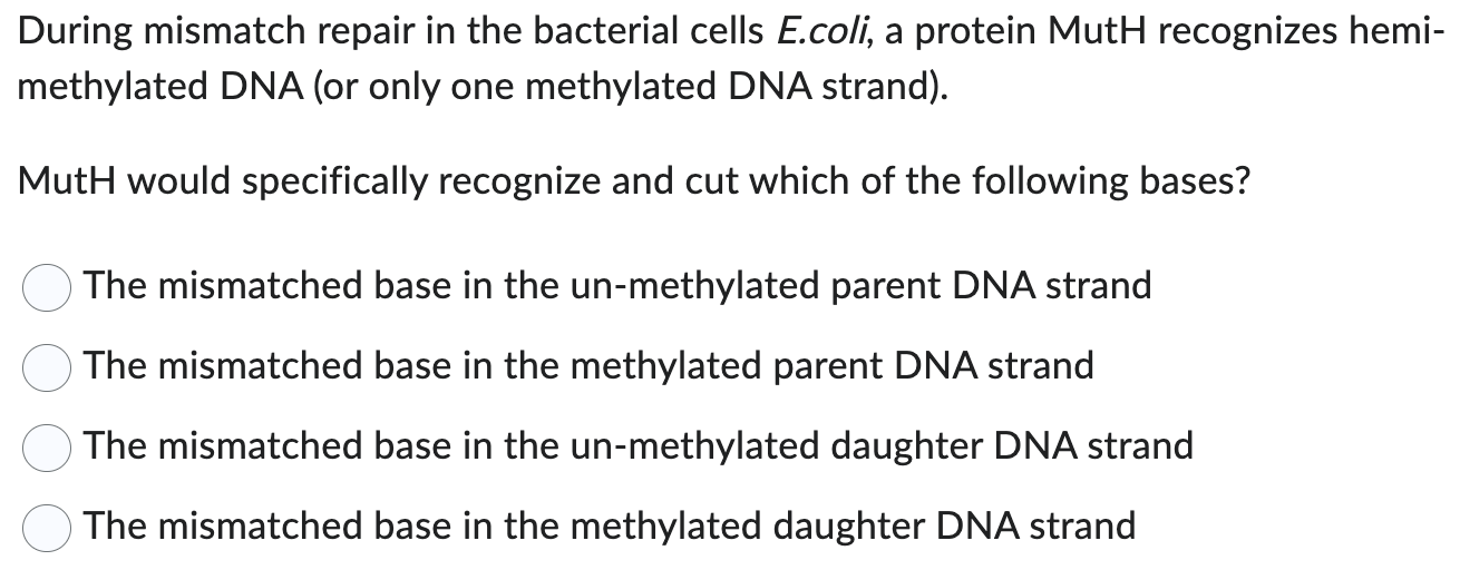 Solved During mismatch repair in the bacterial cells E.coli, | Chegg.com
