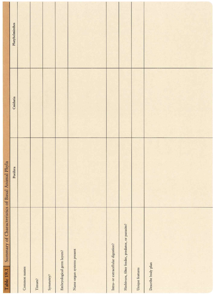 Solved Table 19.1 Summary of Characteristics of Basal Animal | Chegg.com