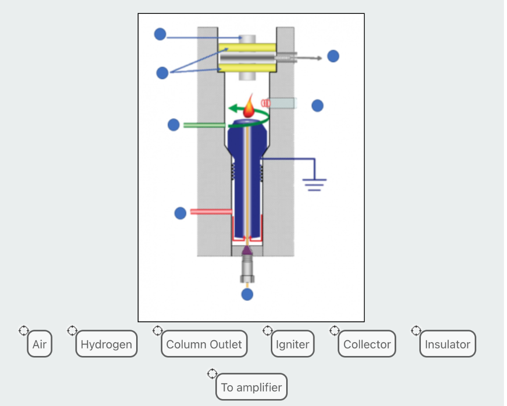 Solved Mark the key components of a Flame Ionization | Chegg.com
