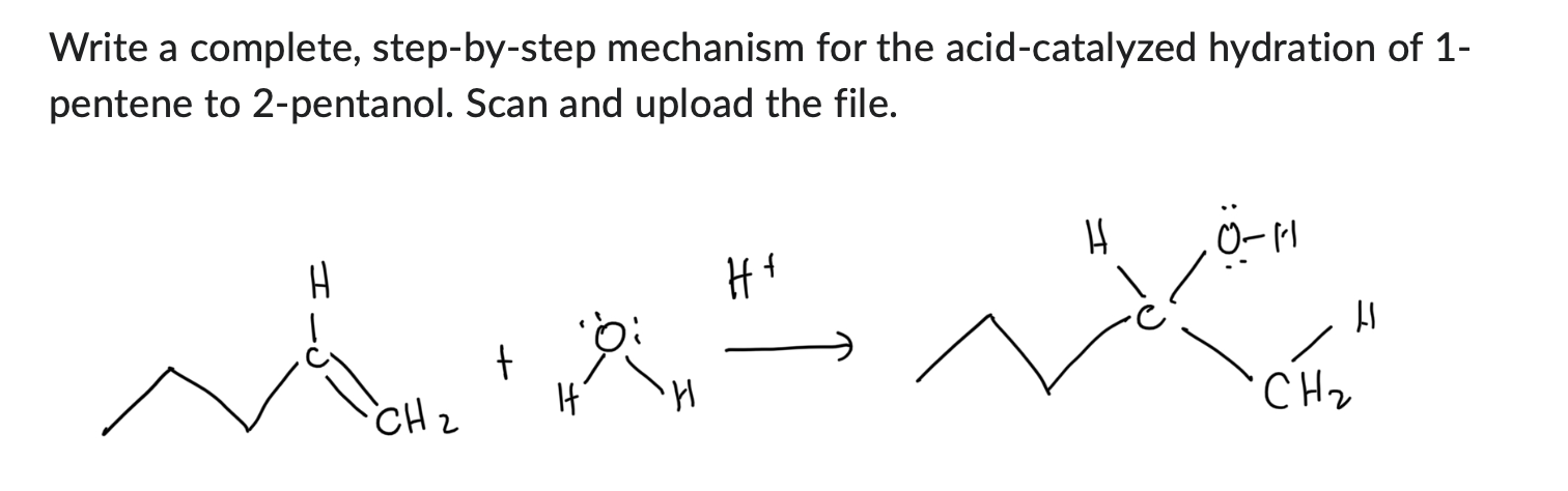 Solved Write a complete, step-by-step mechanism for the | Chegg.com