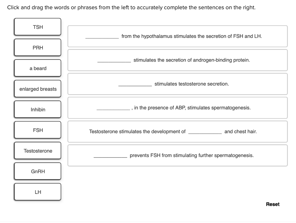 Solved Click and drag the words or phrases from the left to | Chegg.com