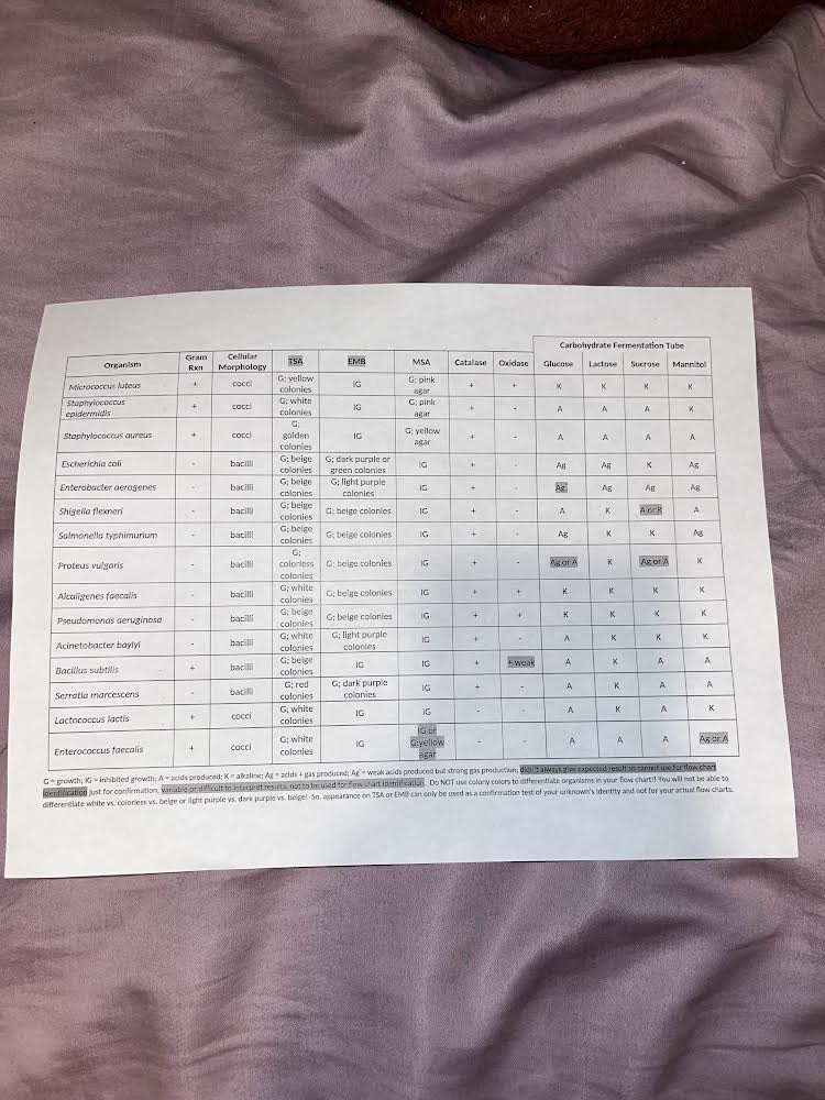 Solved how to create a flow chart for these 15 organisms | Chegg.com