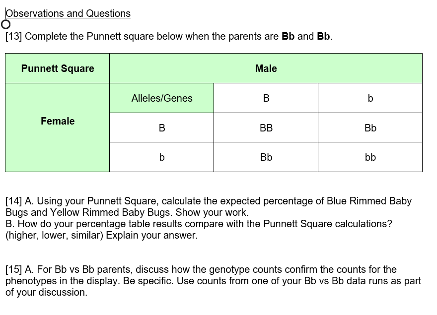 Solved: Procedure | - Part D - Baby Bugs When Parents Are ... | Chegg.com