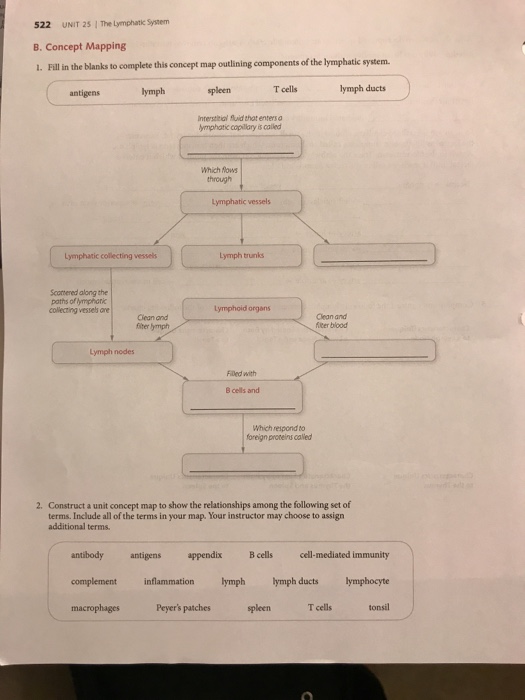 Solved 522 UNIT 25 | The Lymphatik System B. Concept Mapping | Chegg.com