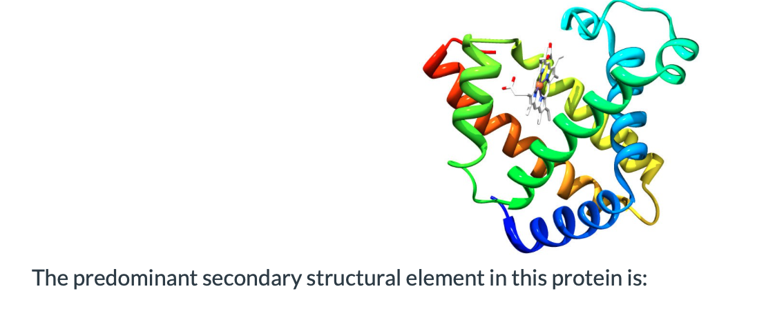 Solved The predominant secondary structural element in this | Chegg.com