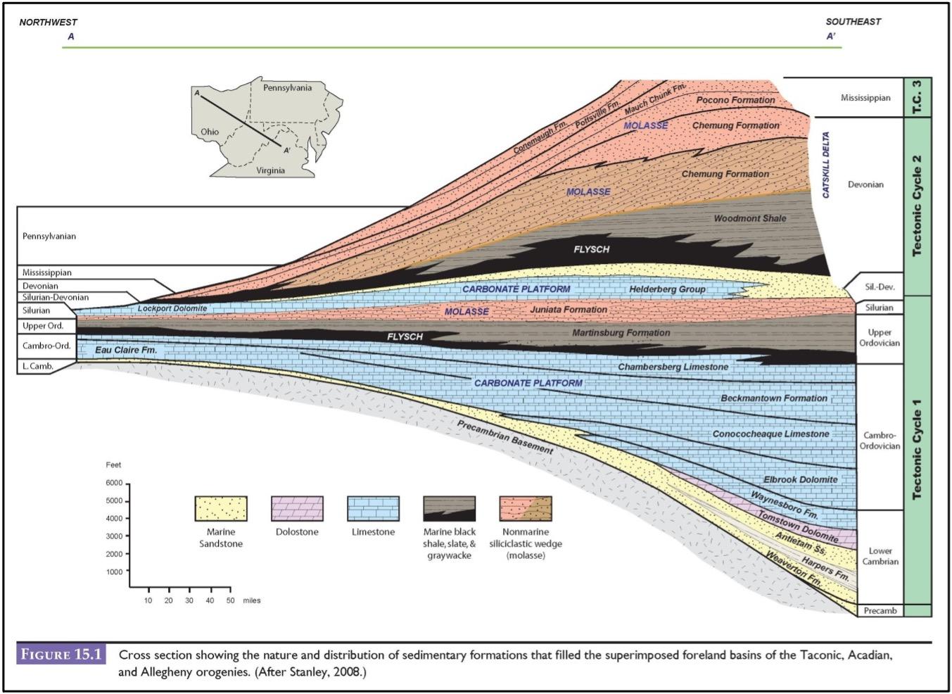 Solved Appreciate the help! What direction was the likely | Chegg.com