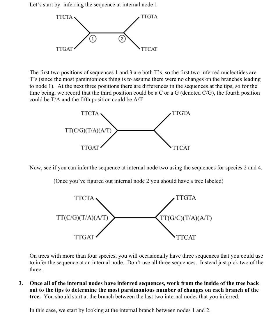 Solved Phylogenetic Reconstruction: Parsimony The in-class | Chegg.com