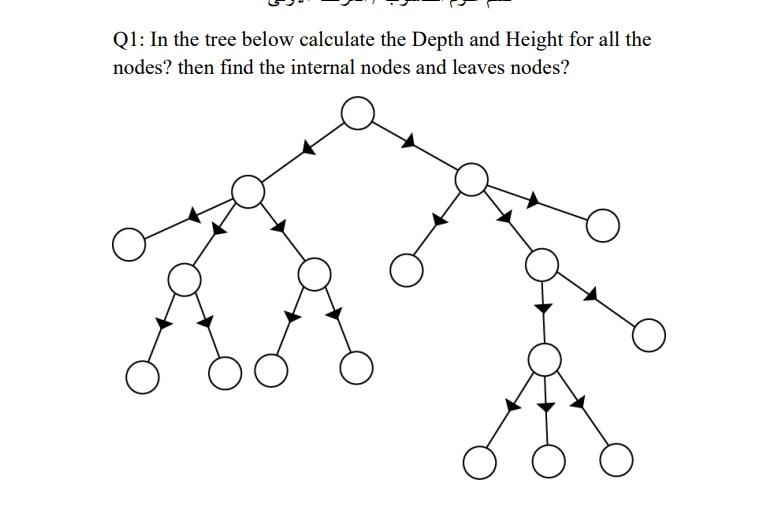 Solved Q1: In the tree below calculate the Depth and Height | Chegg.com