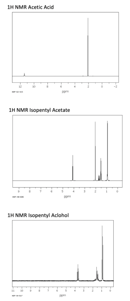 Solved 1H NMR Acetic Acid 12 10 8 ppm 1H NMR Isopentyl | Chegg.com