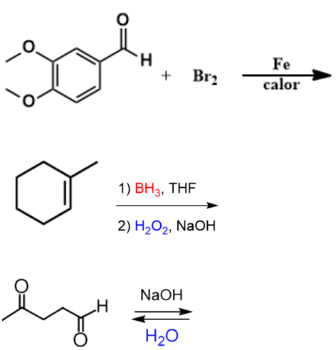 Solved H + Br2 Fe calor 1) BH3, THE 2) H2O2, NaOH NaOH H H20 | Chegg.com