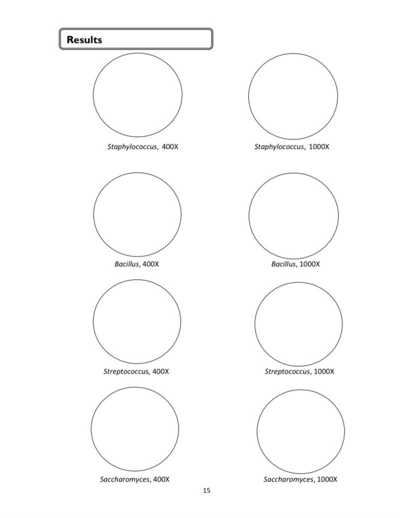 Solved draw each one inside the circle (the name is | Chegg.com