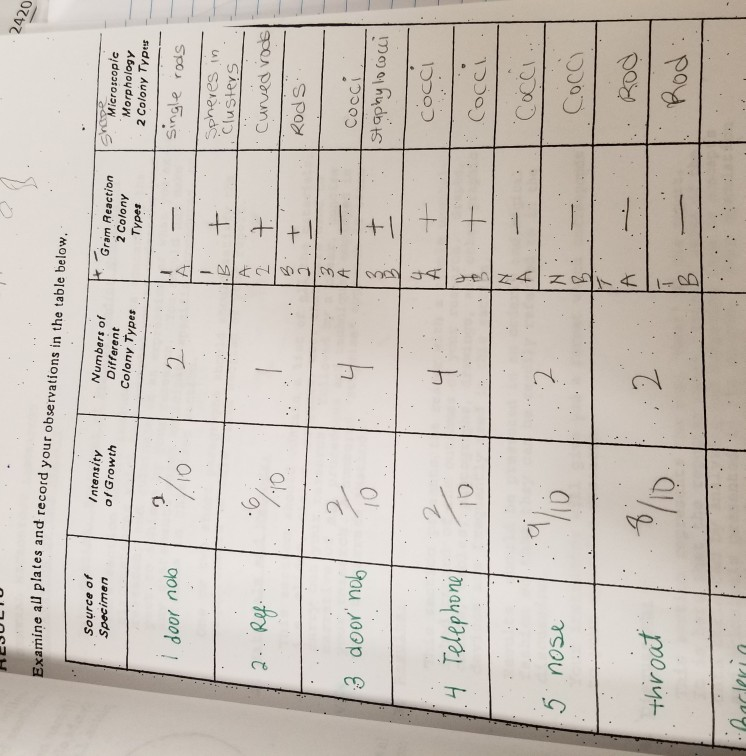 Solved Please, I need help in completing my environment lab | Chegg.com