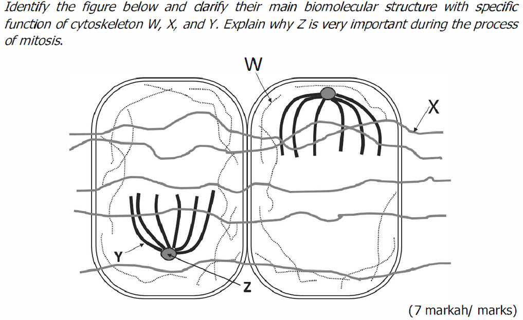 Solved Identify the figure below and clarify their main | Chegg.com
