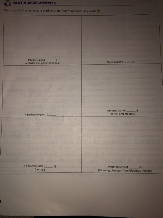 Solved PART B ASSESSMENTS Sketch and label representative | Chegg.com