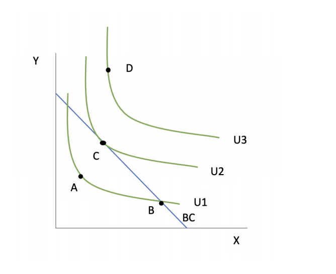 Solved Using the graphic below, indicate which bundle is the | Chegg.com