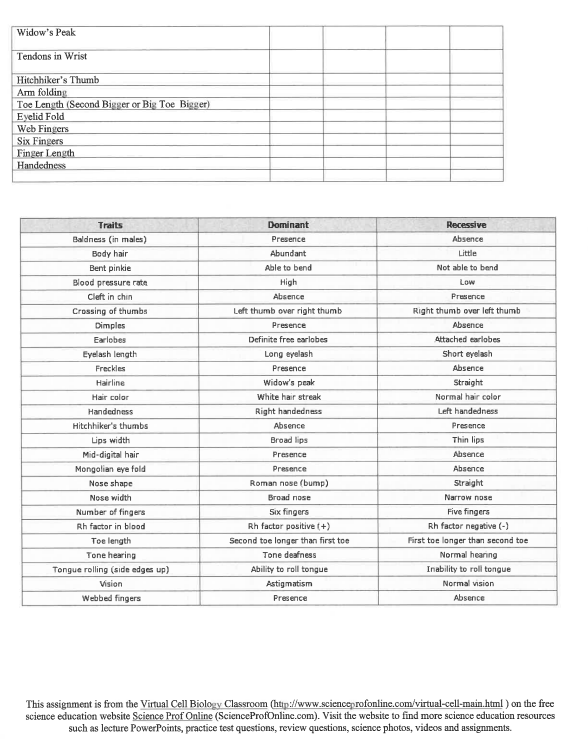 Phenotype/Genotype Inheritance in Humans Classroom | Chegg.com