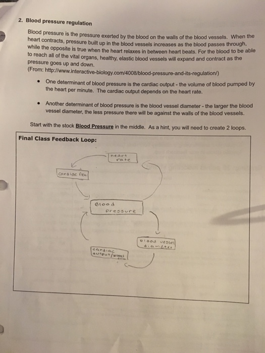 Circulatory and Respiratory System Feedback Loops | Chegg.com