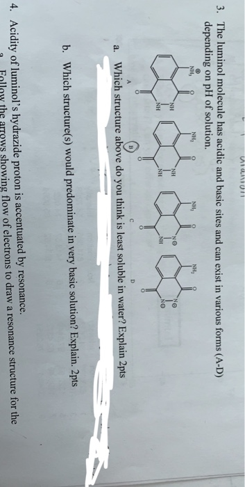 Solved The luminol molecule has acidic and basic sites and | Chegg.com