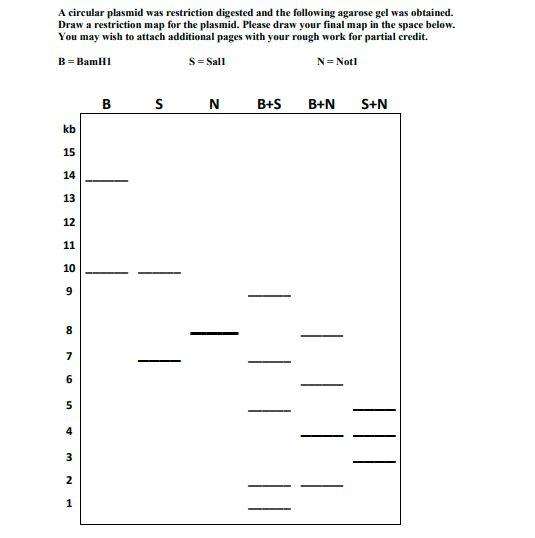 Solved A circular plasmid was restriction digested and the | Chegg.com