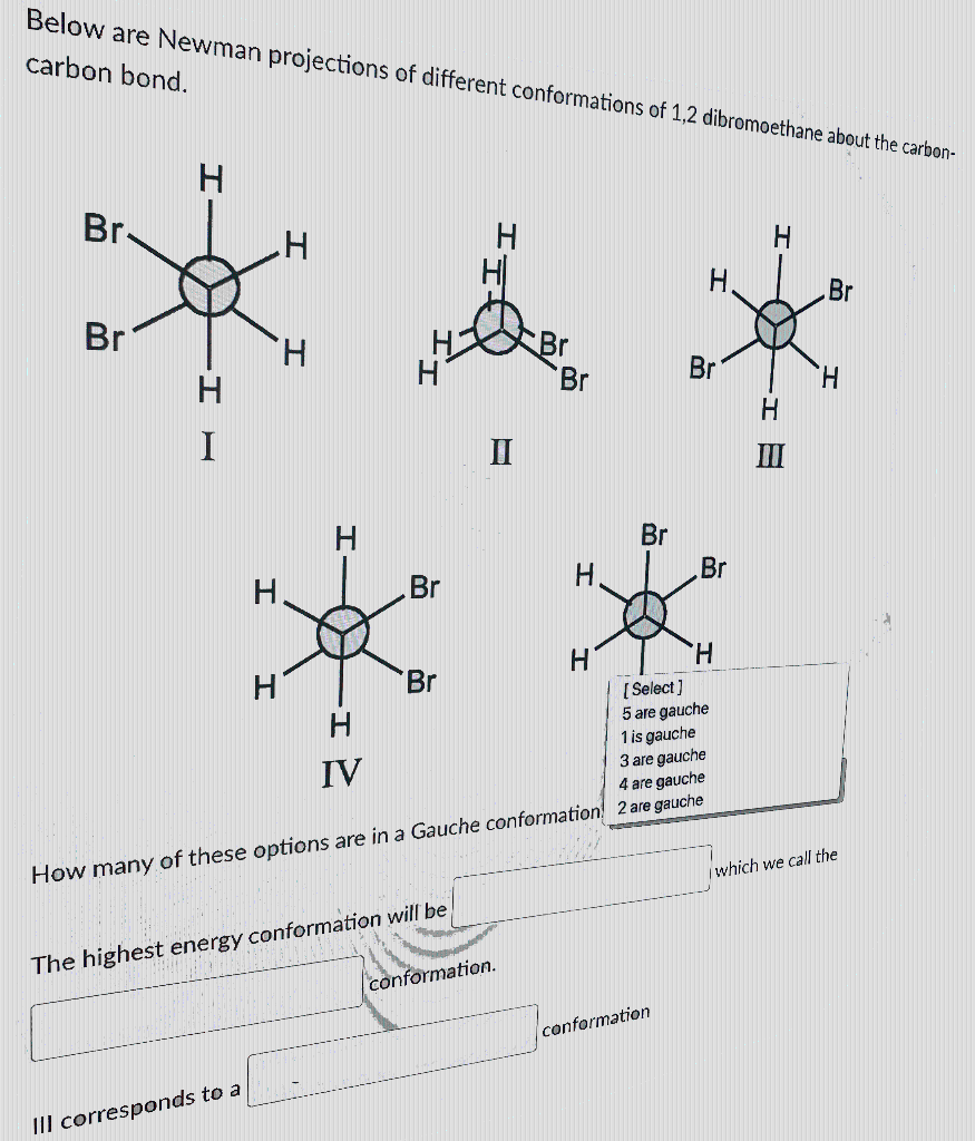 Solved Below are Newman projections of different | Chegg.com
