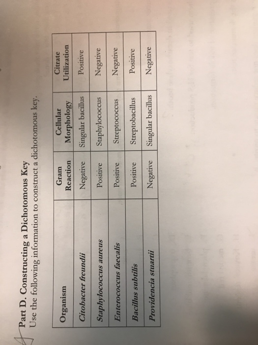 Solved art D. Constructing a Dichotomous Key Use the | Chegg.com
