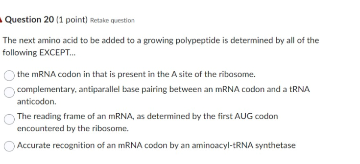 Solved Question 20 (1 point) Retake question he next amino | Chegg.com Solved Question 20 (1 point) Retake question he next amino | Chegg.com