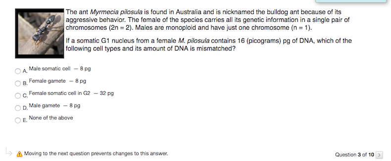 Solved If a somatic G1 nucleus from a female M. pilosula | Chegg.com