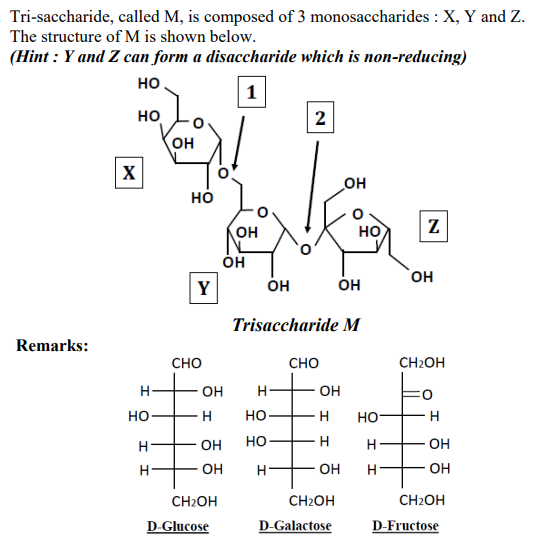 Solved Tri-saccharide, called M, is composed of 3 | Chegg.com