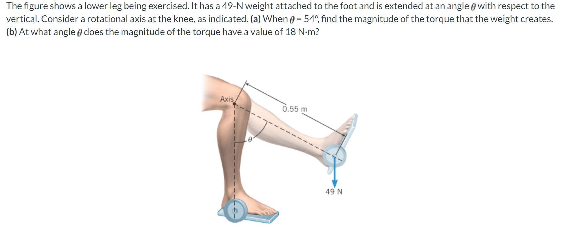 Solved The figure shows a lower leg being exercised. It has | Chegg.com