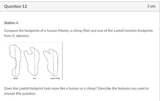 Solved Station 4. Compare the foot of Ardipithecus to the | Chegg.com