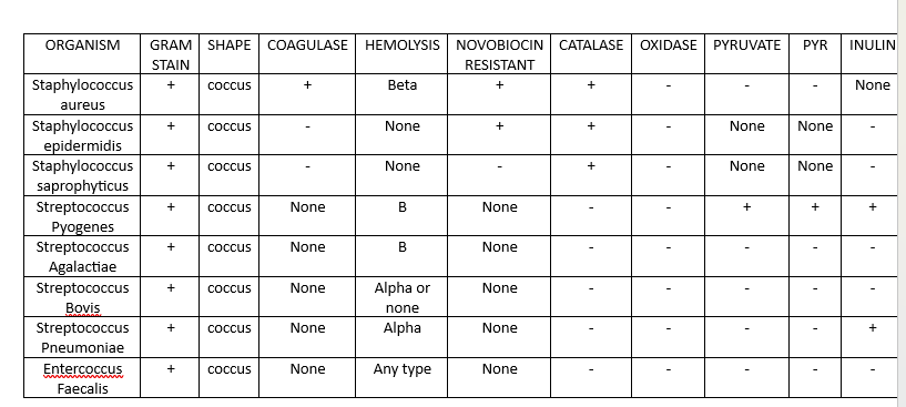 Solved Draw a dichotomous key chart given the following | Chegg.com