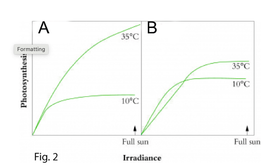 Solved C3 and C4 plants have different photosynthetic | Chegg.com