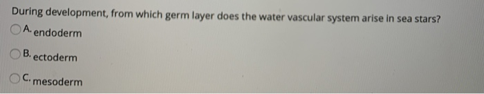 Solved During development, from which germ layer does the | Chegg.com